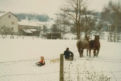 Erbacher Fastnacht: Letzter Zug mit Litzingers Kaltblütern