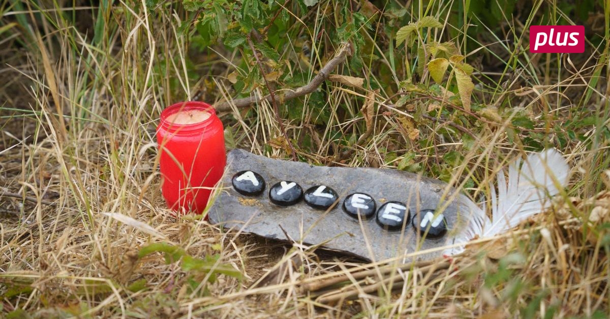 Fall Ayleen: Jan P. und die Geschichte vom Pferd