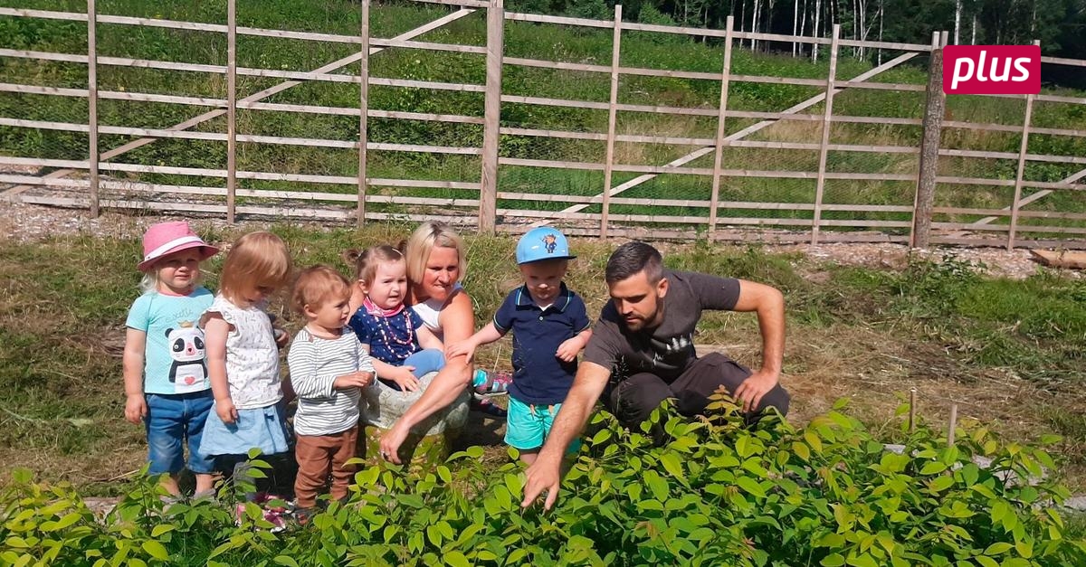 Neu-Anspach: Für jedes Kind ein neuer Baum