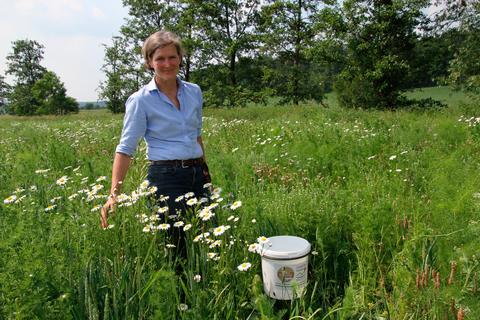 Hofgut Obbornhofen einziger hessischer Teilnehmer bei Blühflächen-Projekt