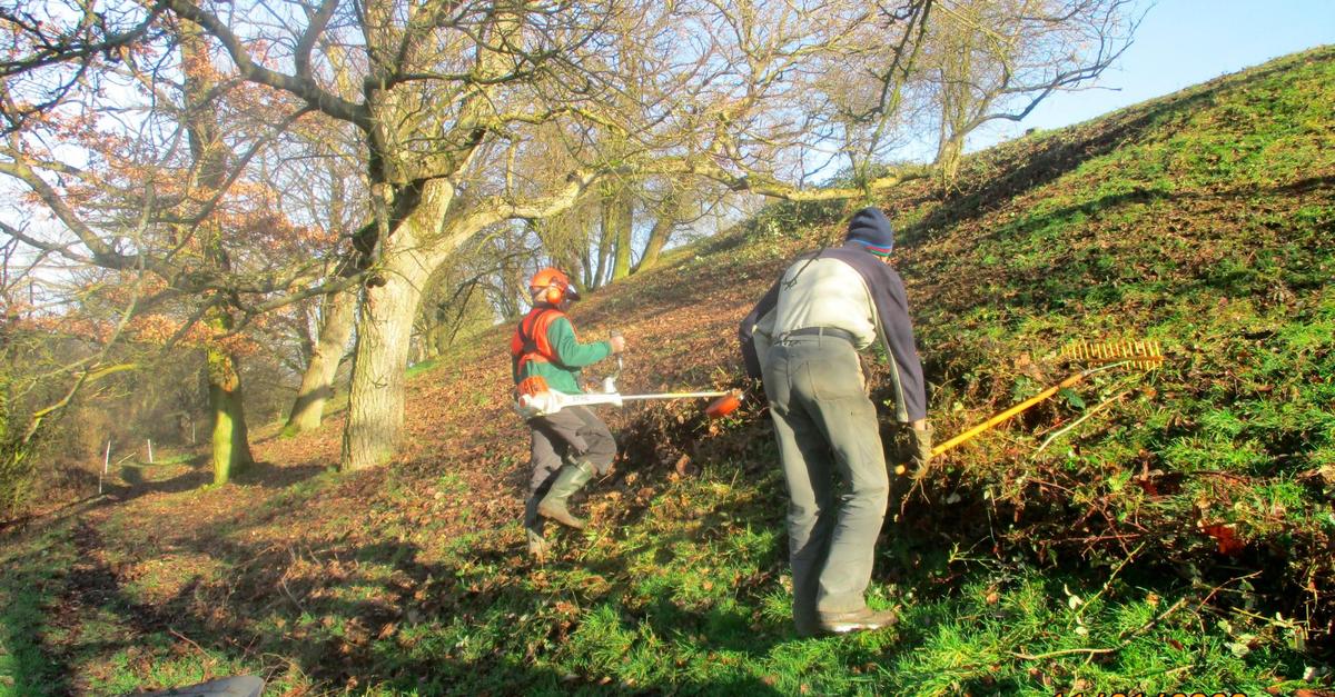 Aktive des Nabu Heuchelheim-Kinzenbach haben Landschaftspflegesaison ...