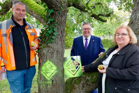 Obstbäume mit Limes-Logo verziert
