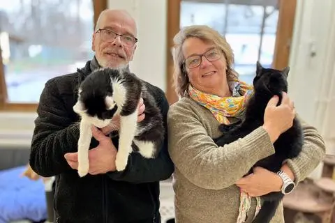 Das Tierheim in Limburg ist auf Ehrenamtliche angewiesen