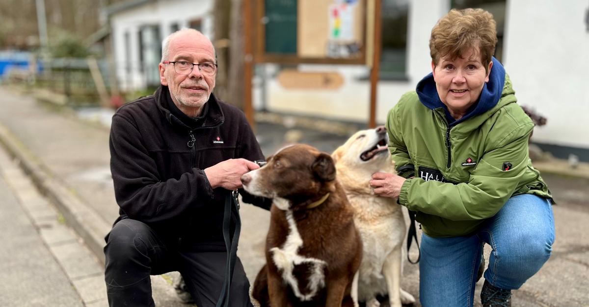 Limburger Tierheim benötigt dringend mehr Geld
