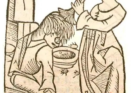 Läuse und das große Jucken