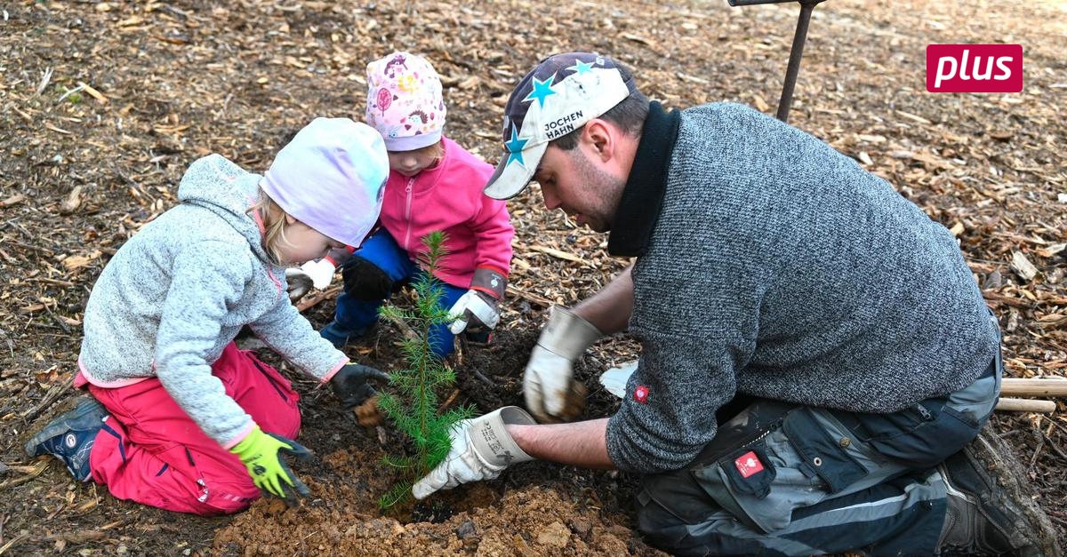 Weinbach: Hunderte Bäumchen eingepflanzt