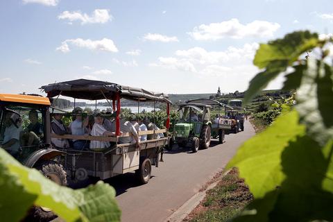Gibt es in Hessen zu wenig Weinbergsrundfahrten?