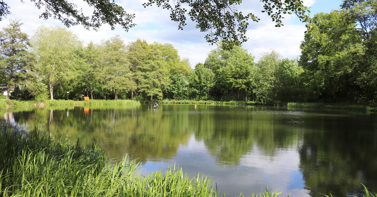 Teich im Bad Endbacher Kurpark: Fischräuber und Aquarienpflanzen ärgern ...