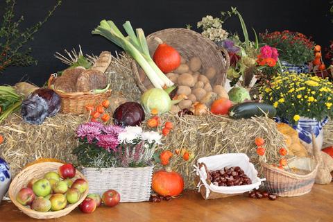 Obst- und Gartenbauverein Wallau feiert mit Musik und Infoständen