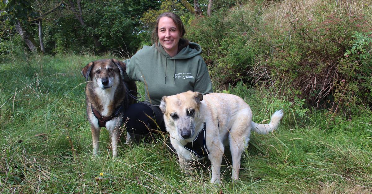 Das steckt hinter der Arbeit der Hundehilfe Hinterland