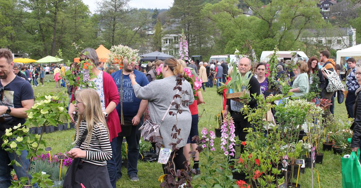 Inge Behrens plant den Biedenkopfer Gartenmarkt 2024