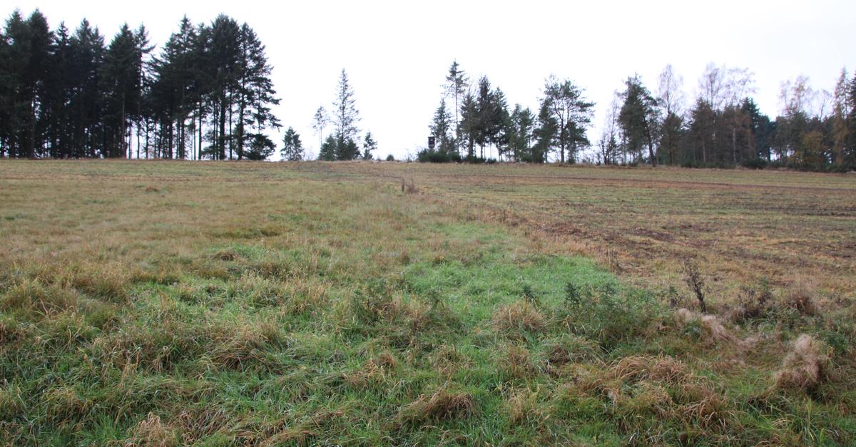 Hauptausschuss Breidenbach spricht über Feldweg-Verkauf