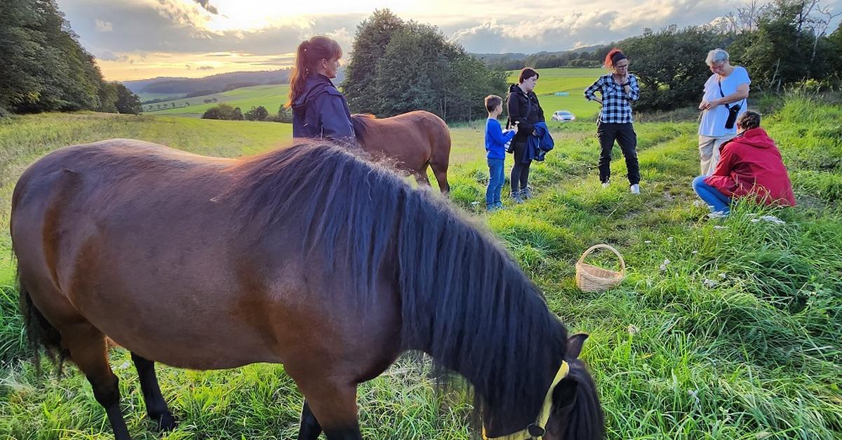 Kräuterwanderung mit Ponys in Herzhausen