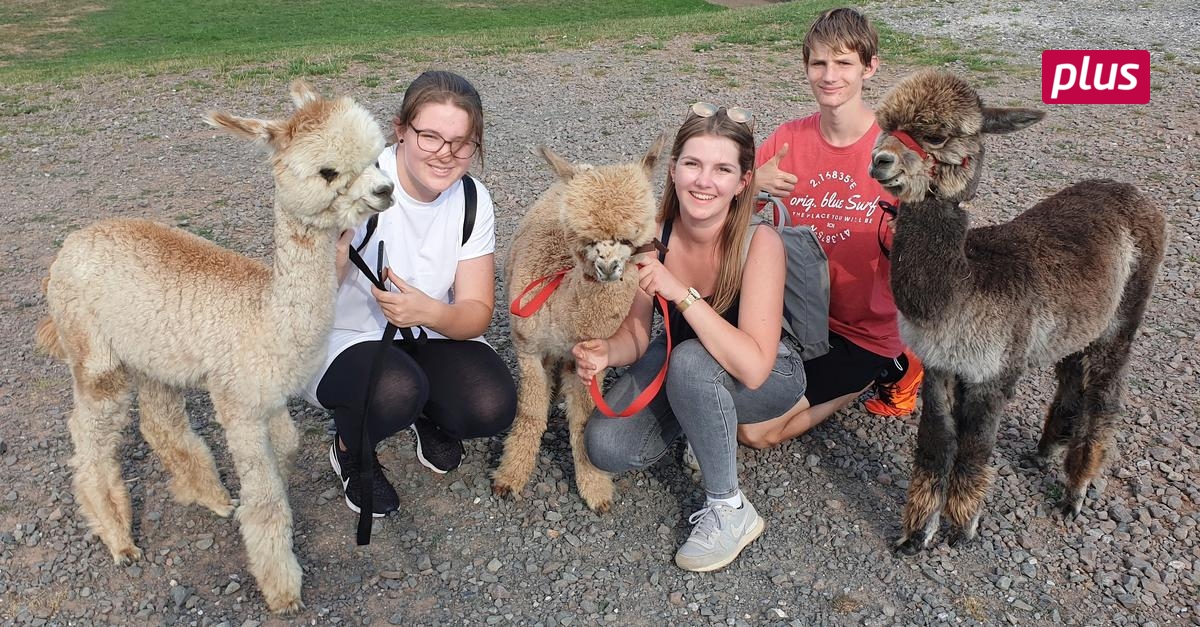 Gladenbach bietet Kindern sechs Wochen Ferienspaß
