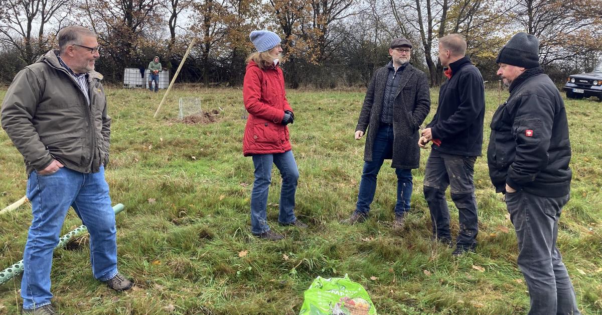 Die Kelterwiesen im Kreis Marburg-Biedenkopf gedeihen