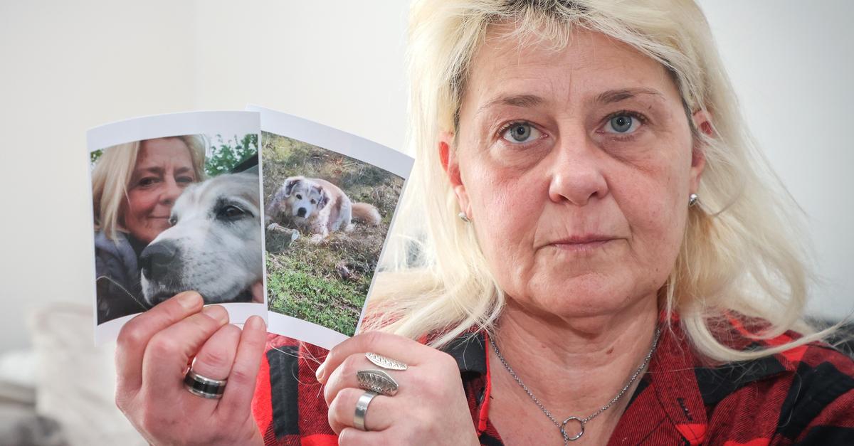 Marburgerin will Gerechtigkeit für ihren toten Hund