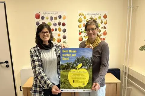 Obstbaum sucht Paten: Projekt will Streuobstwiesen in Breidenbach retten