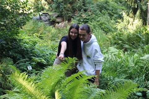 Botanischer Garten in Marburg: Warum Farne faszinieren