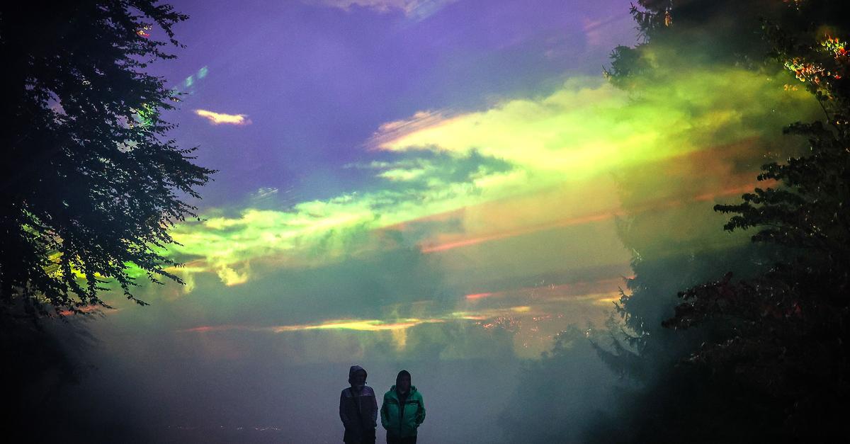 Die „Botanischen Lichter“ in Marburg leuchten noch bis zum 5. Oktober.