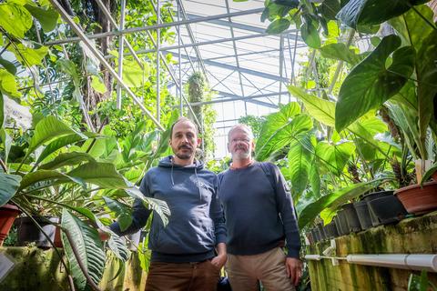 Sanierungsstart: Botanischer Garten Marburg modernisiert Schaugewächshäuser