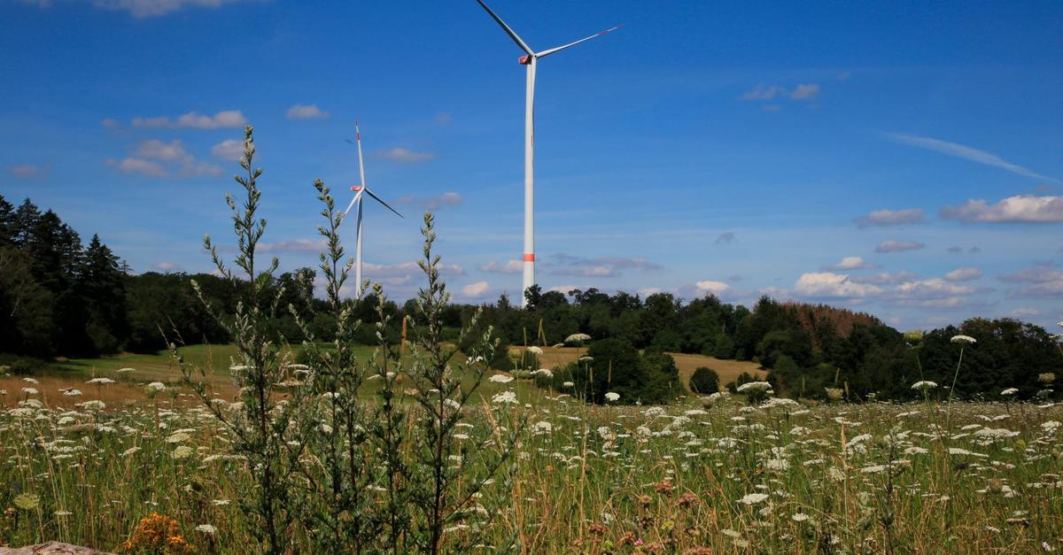 Kein Gegenwind für neue Windräder auf dem Mattenberg