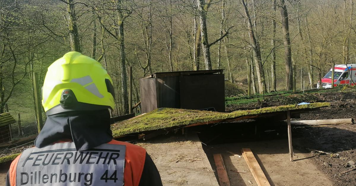 Person im Wildpark Donsbach unter Dach eingeklemmt