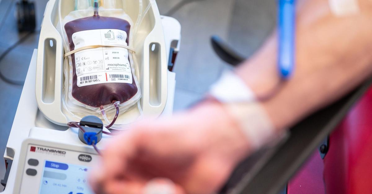 Moment Mal: Blut spenden