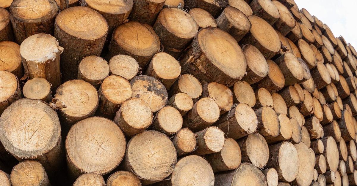 Wer verkauft das Holz?