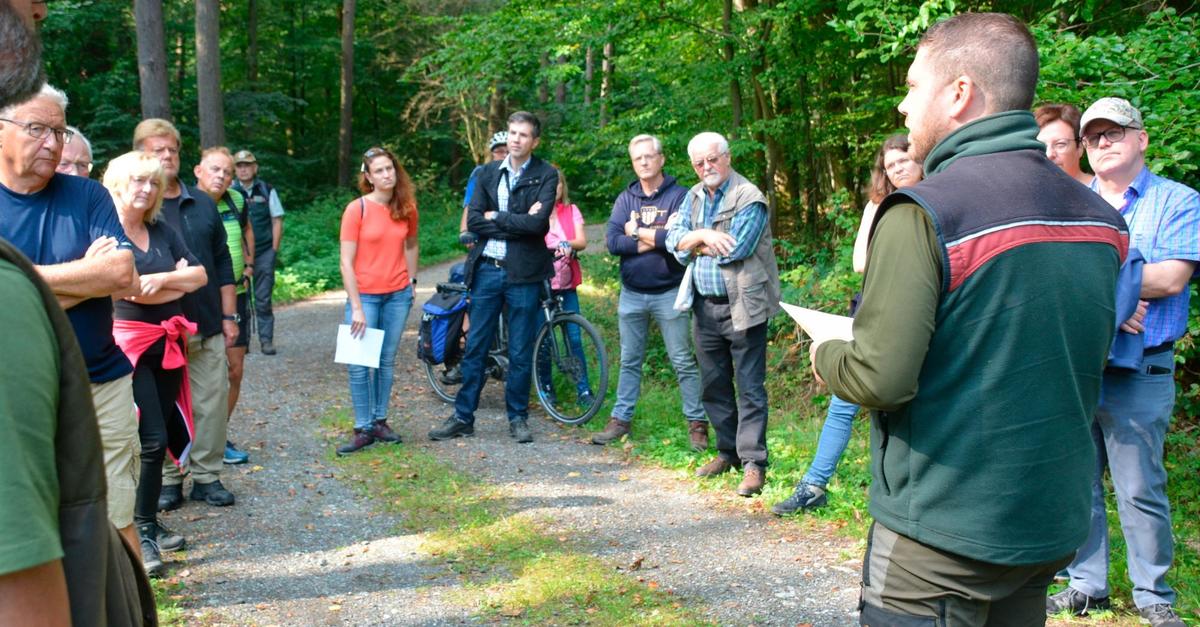Der Wald in Lahnau: Zustand und Zukunft