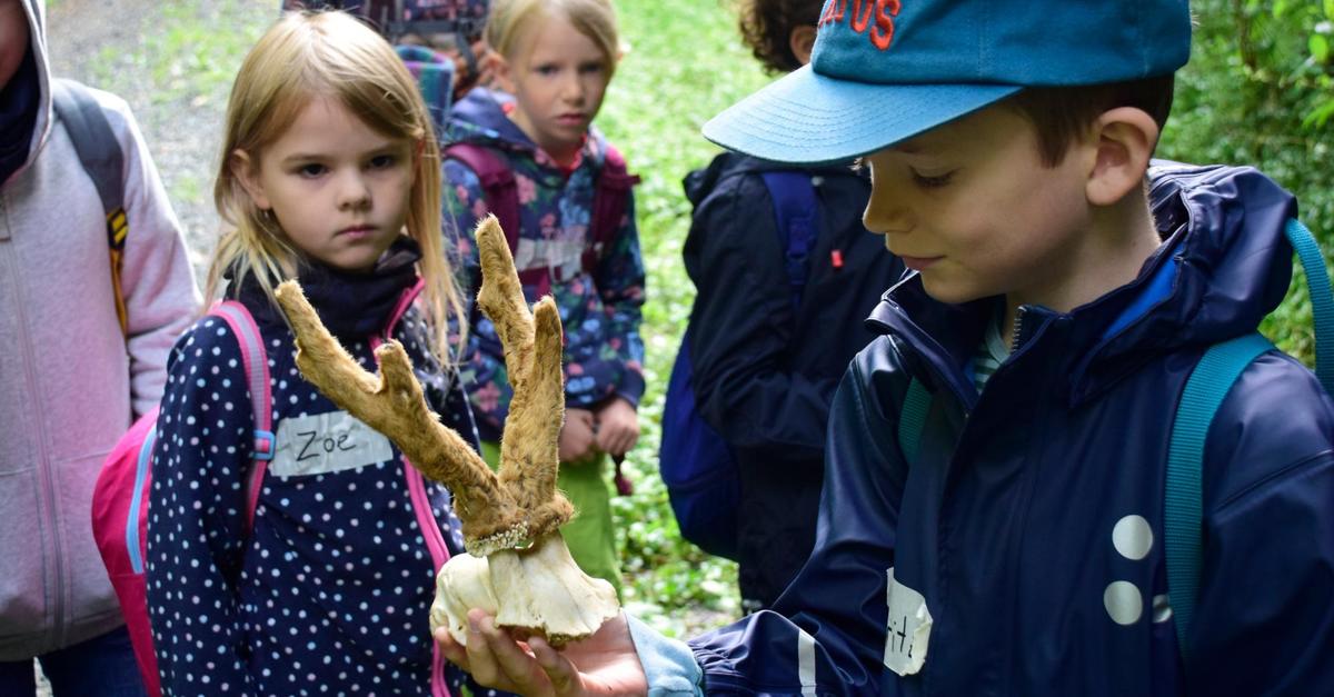 Kinder entdecken Natur, Musik und mehr