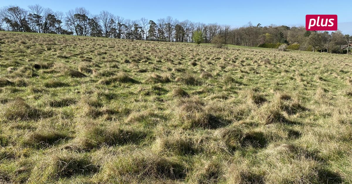 Grünes Licht für Neubaugebiet „Am Weidfeldsweg“ in Solms