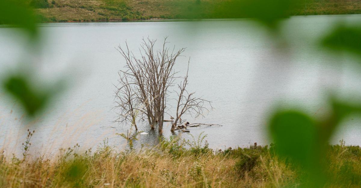 Ermittlungen abgeschlossen: Anklage im Fall Ayleen