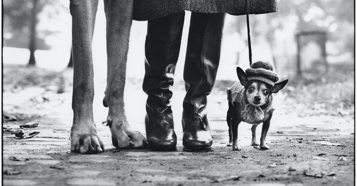 Drei neue Ausstellungen im Wetzlarer Leitz-Park