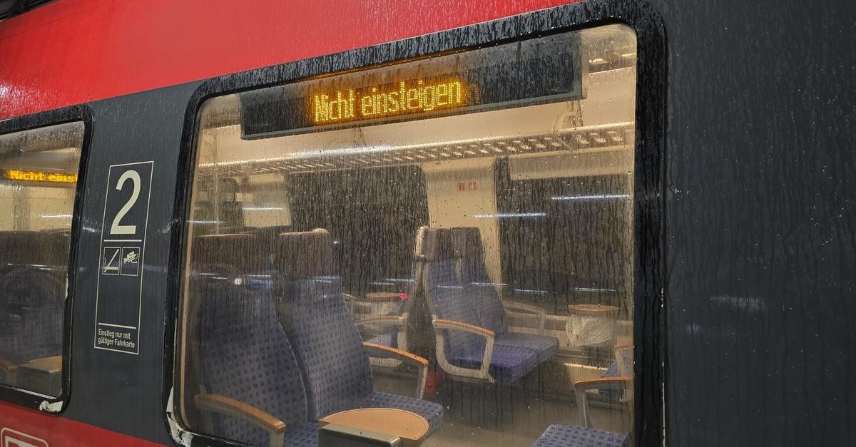 Reeber reist: In Bus und Bahn wird die Neugier gestillt