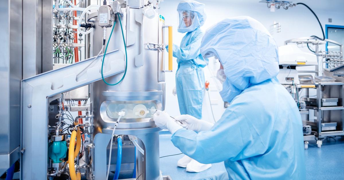 Die Region Rhein-Main-Neckar liefert Hoffnung gegen Corona