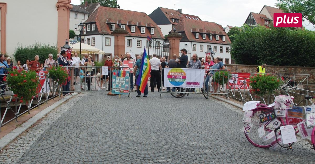 AfD-Kundgebung in Erbach von buntem Bündnis gekontert