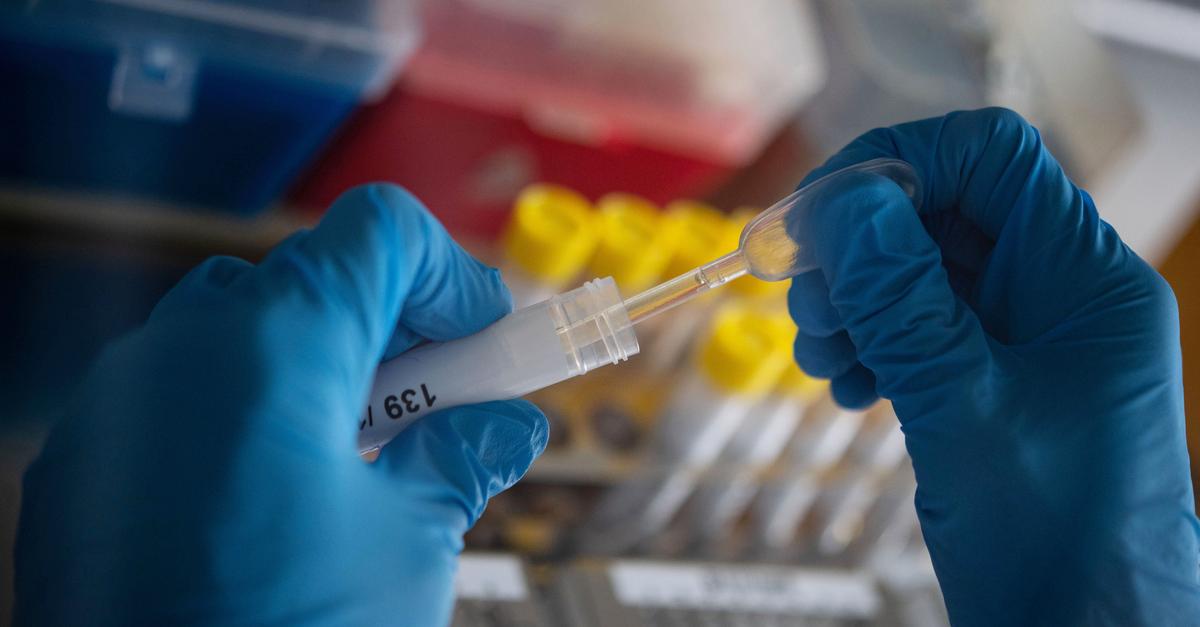 Britische Corona-Mutation in Rheinland-Pfalz nachgewiesen