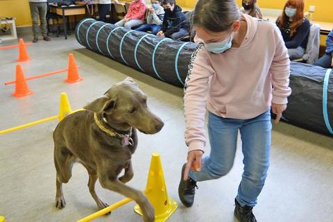 Westend-Realschule Worms hat jetzt einen Schulhund