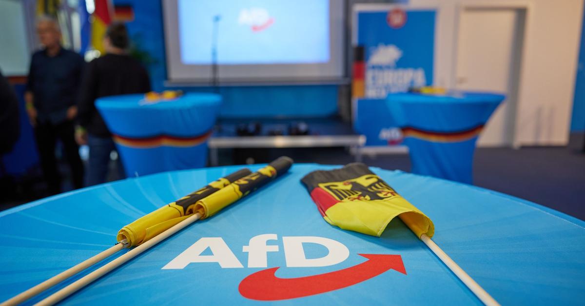 Pro & Contra: Sollte man gegen AfD-Parteitage demonstrieren?