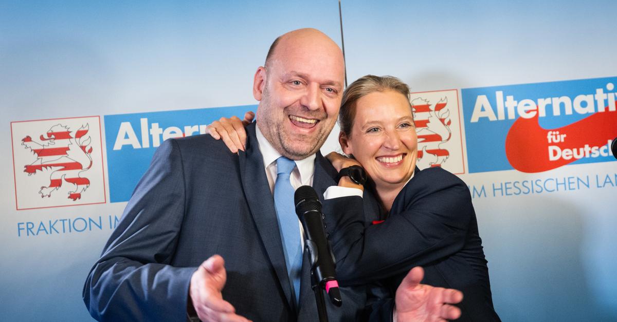 Die AfD jubelt doppelt – und macht Avancen