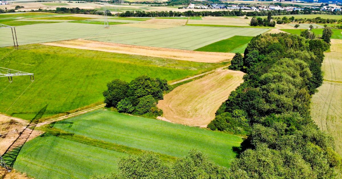 Lost Place in Kinzenbach: Ganz schön lange ausgedient