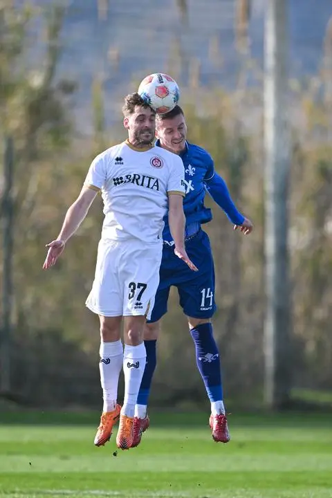 Meldin Drešković: SV Darmstadt 98 bestätigt Wechsel auf Leihbasis nach ...