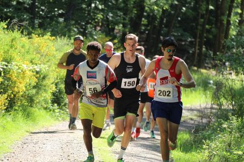 Mussie, Claas und Löw mischen beim Dünsberglauf vorne mit