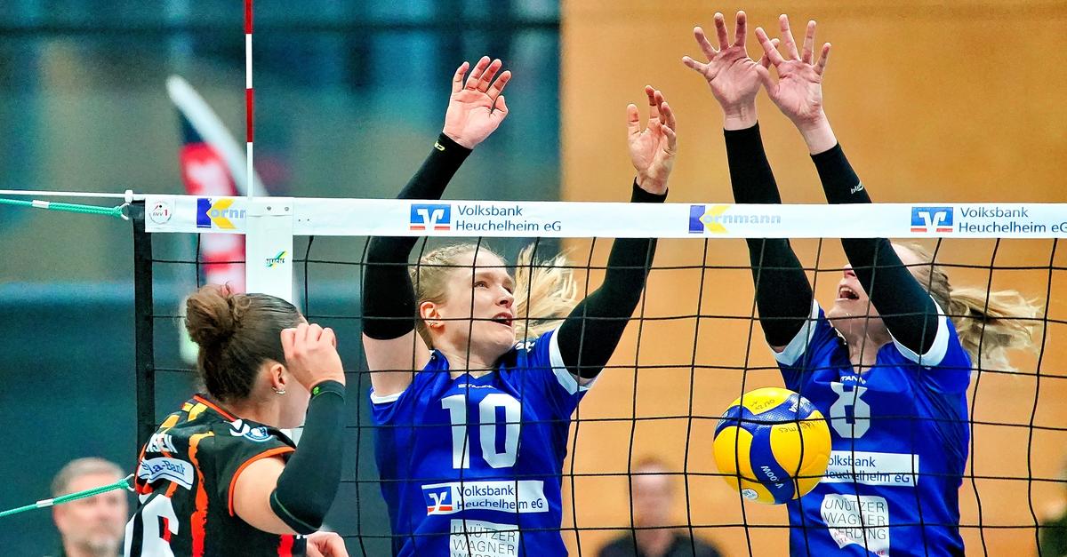 Volleyballerinnen des TV Waldgirmes machen Trainer Daniel Bock „sehr stolz“