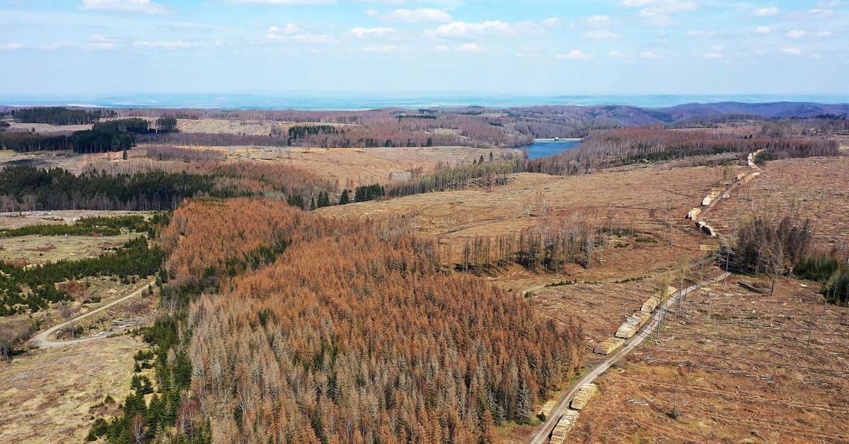 „Die fetten Jahre sind vorbei“