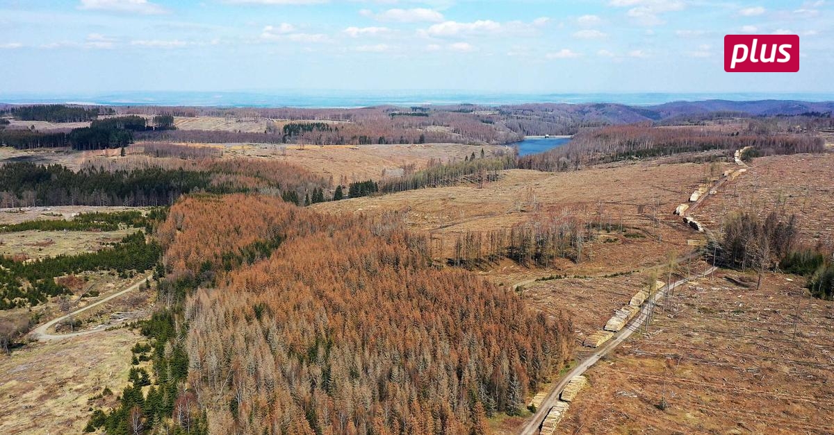 „Die fetten Jahre sind vorbei“